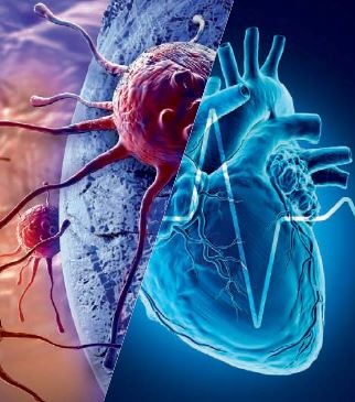 Επίδραση της πανδημίας COVID-19 στη λειτουργία του Εθνικού Δικτύου ...